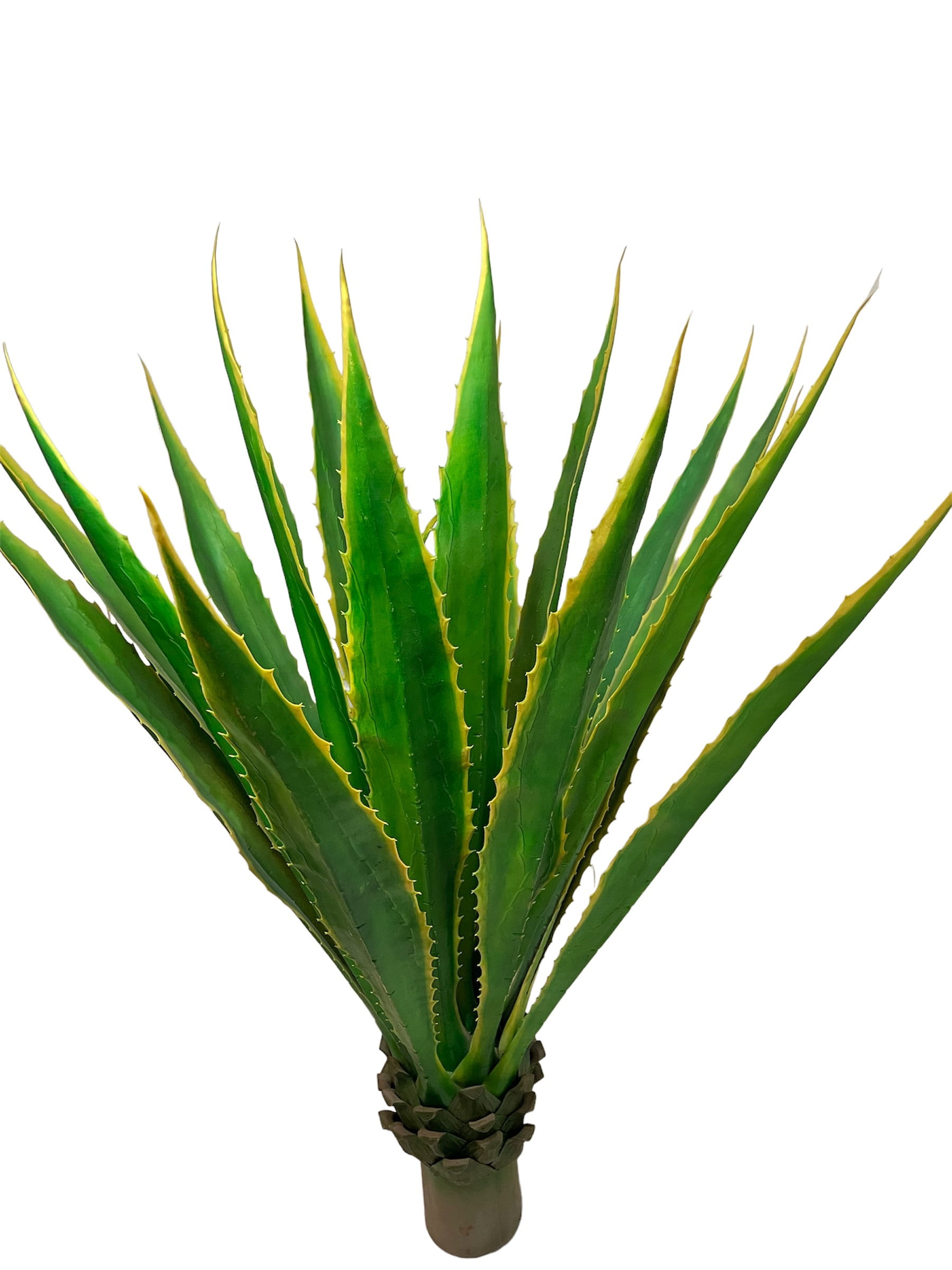 Agave Verde-Amarillo 135cm - Corel Decoraciones