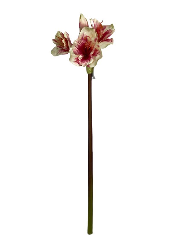 Amaryllis Rosa/Blanca 68cm - Corel Decoraciones
