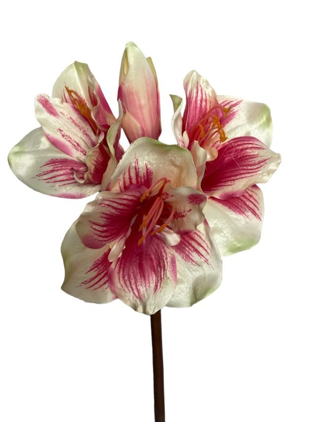 Amaryllis Rosa/Blanca 68cm - Corel Decoraciones