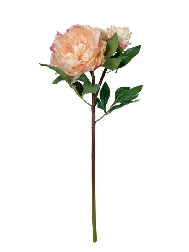 Peonia Crema/Rosa Con Botón 54cm - Corel Decoraciones
