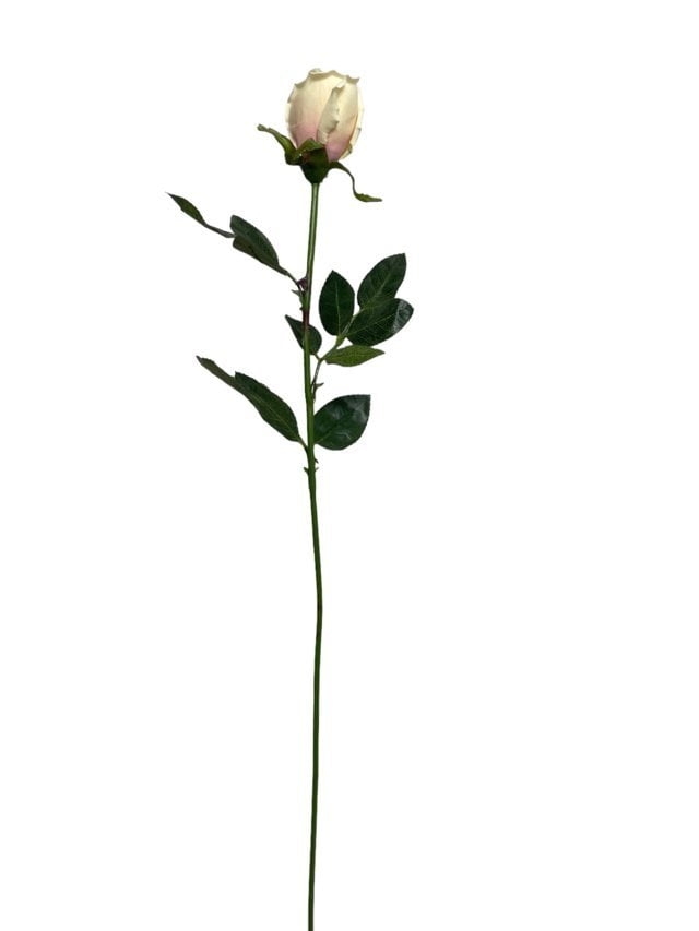 Rosa Crema 75cm - Corel Decoraciones